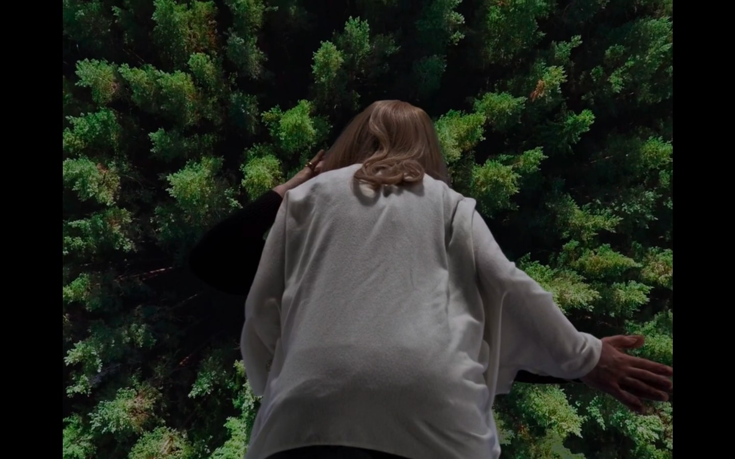 The ending of First Reformed explained - Film Colossus