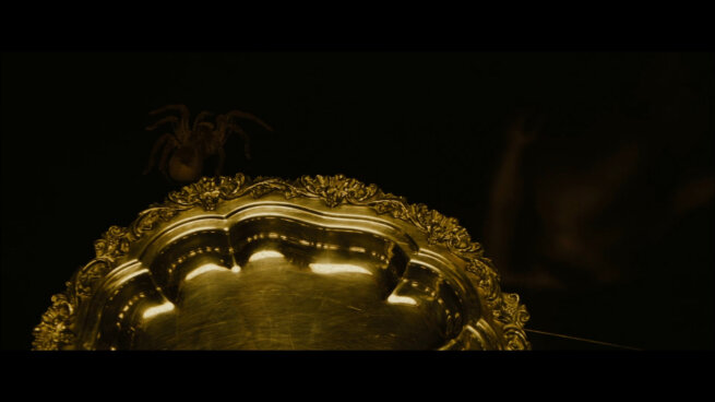 ENEMY | The Definitive Explanation - Colossus