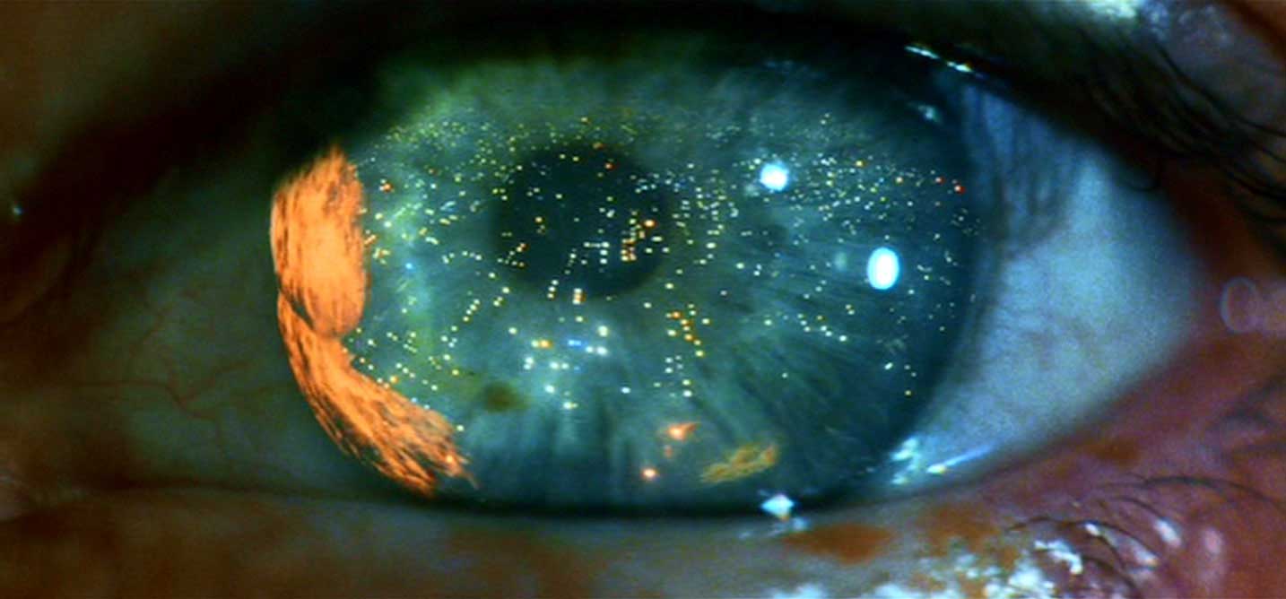 Blade Runner (1982) | The Definitive Explanation - Colossus